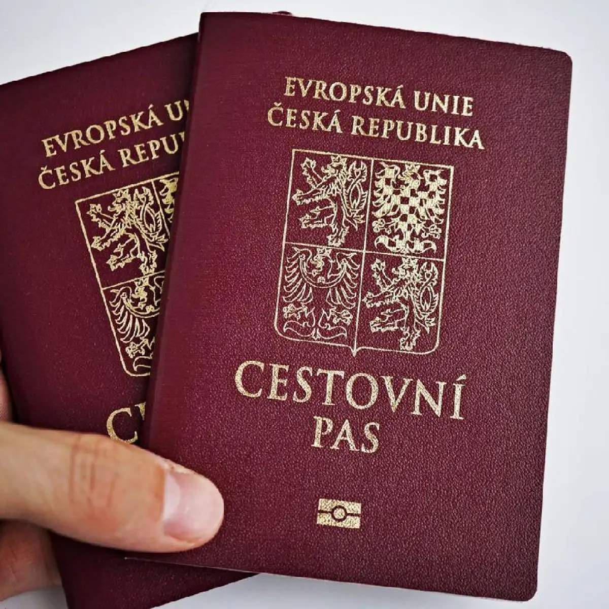 Residence permit in the Czech Republic | AMS
